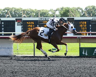Chrome Attack - Horse Profile - BloodHorse