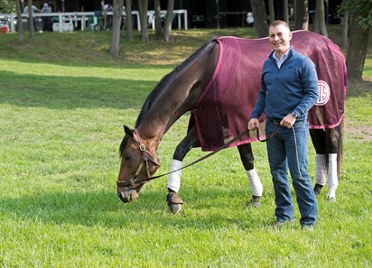 Catholic Boy - Horse Profile - BloodHorse