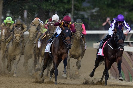 Catholic Boy - Horse Profile - BloodHorse
