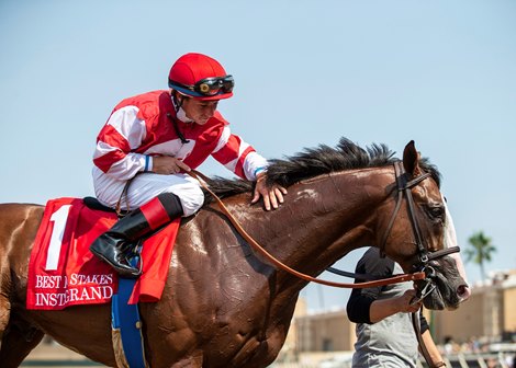 Instagrand a Product of Stoneway Farm Dedication - BloodHorse