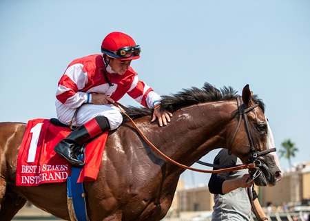 Instagrand a Product of Stoneway Farm Dedication - BloodHorse