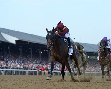 Catholic Boy - Horse Profile - BloodHorse