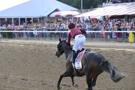Catholic Boy - Horse Profile - BloodHorse