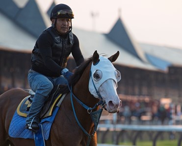 Southern Phantom - Horse Profile - BloodHorse