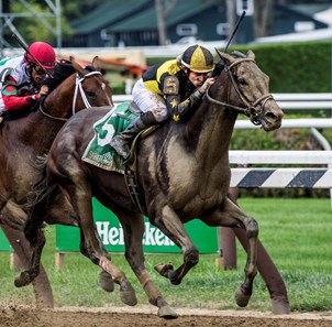 Big Dollar Bill - Horse Profile - BloodHorse