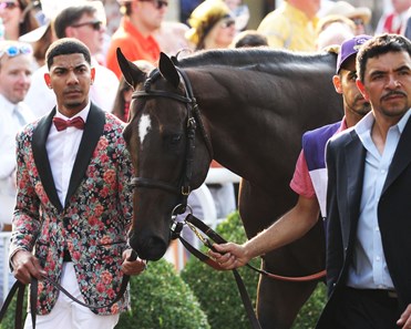 Robert Bruce (CHI) - Horse Profile - BloodHorse