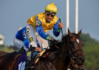 Robert Bruce (CHI) - Horse Profile - BloodHorse