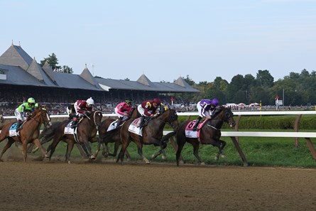 Catholic Boy - Horse Profile - BloodHorse