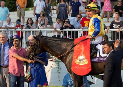 Robert Bruce (CHI) - Horse Profile - BloodHorse