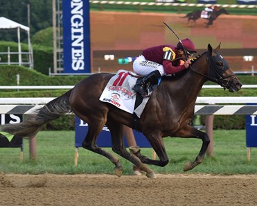 Catholic Boy - Horse Profile - BloodHorse