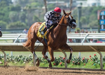 Tap the Wire - Horse Profile - BloodHorse