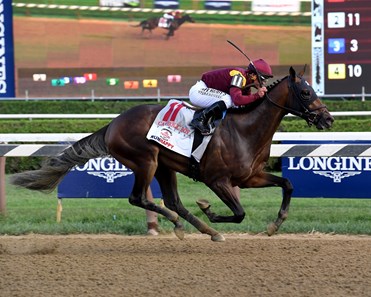Catholic Boy - Horse Profile - BloodHorse