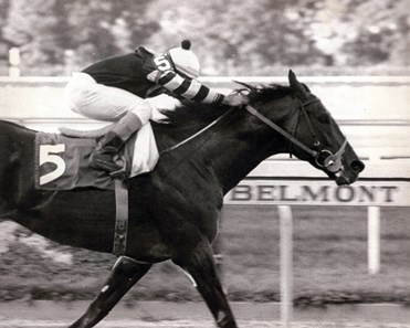 Seattle Slew - Horse Profile - BloodHorse