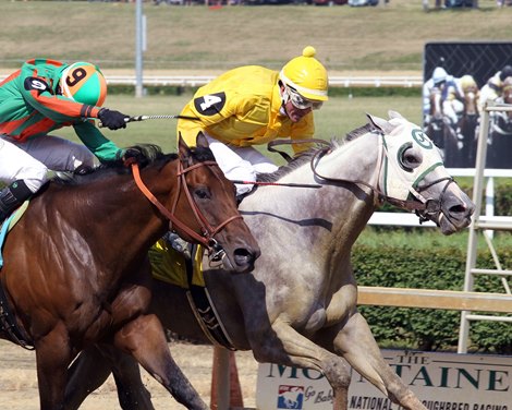 Heartwood Seeks First Graded Win in Mr. Prospector - BloodHorse