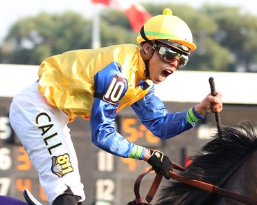 Robert Bruce (CHI) - Horse Profile - BloodHorse