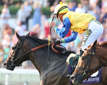 Robert Bruce (CHI) - Horse Profile - BloodHorse