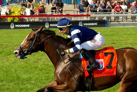 Oscar Performance - Horse Profile - BloodHorse