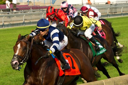 Oscar Performance - Horse Profile - BloodHorse