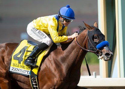 Vale Dori (ARG) - Horse Profile - BloodHorse