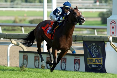 Oscar Performance - Horse Profile - BloodHorse