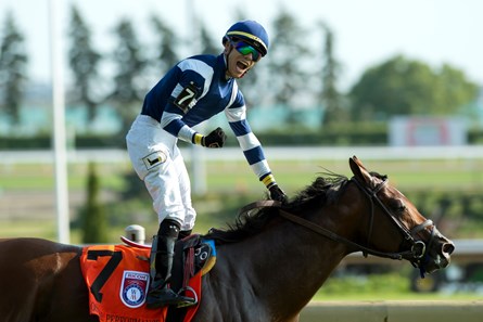 Oscar Performance - Horse Profile - BloodHorse