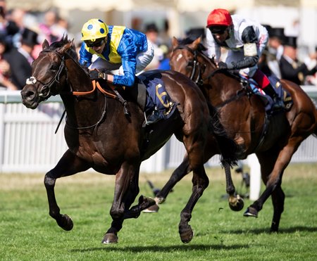 Poet's Word to Stand at Boardsmill as Dual-Purpose Sire - BloodHorse