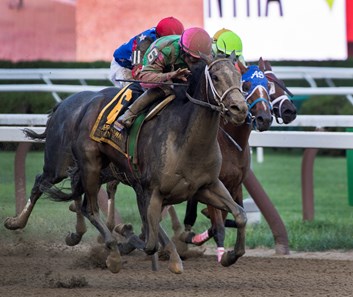 Sippican Harbor - Horse Profile - BloodHorse