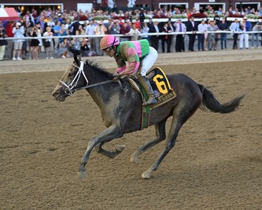 Sippican Harbor - Horse Profile - BloodHorse