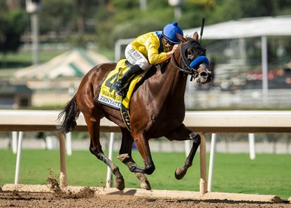 Vale Dori (ARG) - Horse Profile - BloodHorse