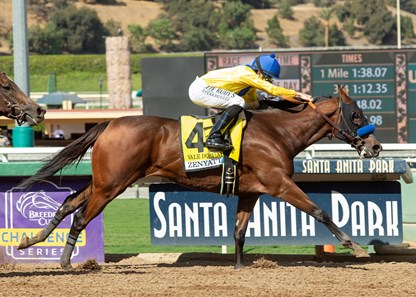 Vale Dori (ARG) - Horse Profile - BloodHorse