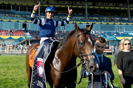 Oscar Performance - Horse Profile - BloodHorse