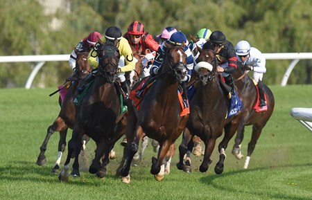 Oscar Performance - Horse Profile - BloodHorse
