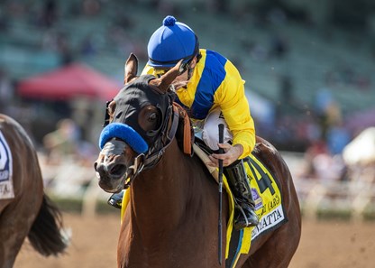 Vale Dori (ARG) - Horse Profile - BloodHorse