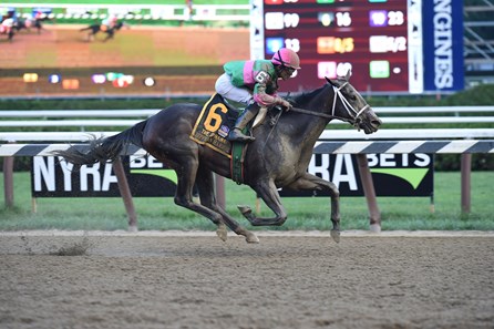 Sippican Harbor - Horse Profile - BloodHorse