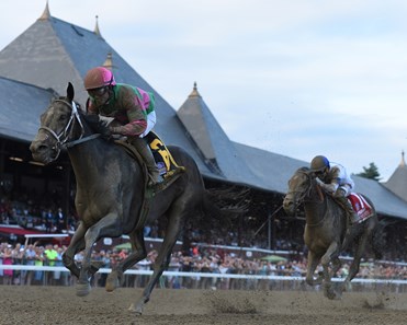 Sippican Harbor - Horse Profile - BloodHorse