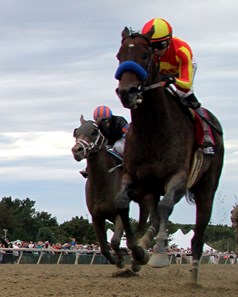 McKinzie - Horse Profile - BloodHorse
