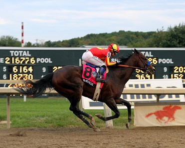 McKinzie - Horse Profile - BloodHorse