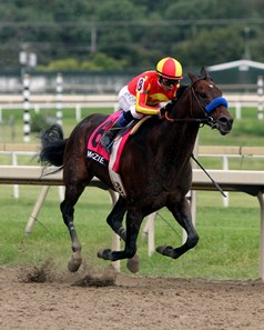 McKinzie - Horse Profile - BloodHorse