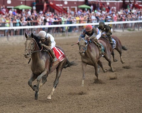 WinStar Farm Sets 2020 Stud Fees - BloodHorse