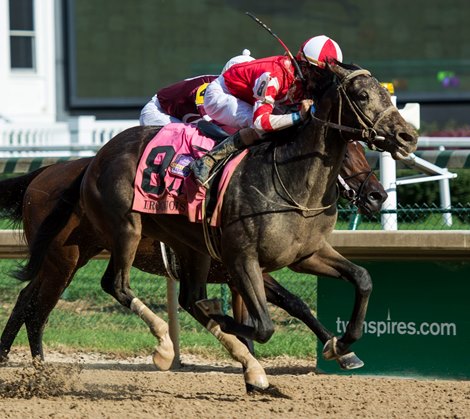 Iroquois Winner Cairo Cat Returns in Curlin Stakes - BloodHorse