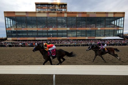 McKinzie - Horse Profile - BloodHorse