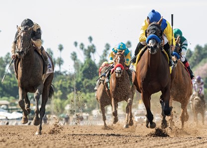 Vale Dori (ARG) - Horse Profile - BloodHorse