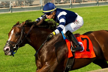 Oscar Performance - Horse Profile - BloodHorse