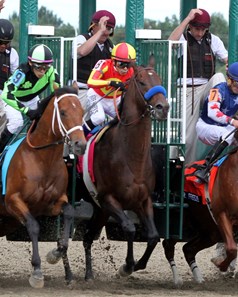 McKinzie - Horse Profile - BloodHorse