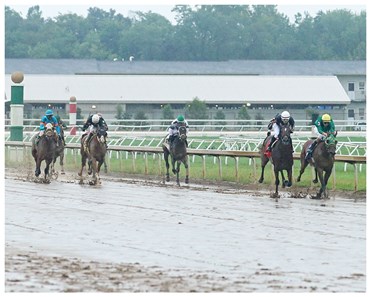 Hey Adrian - Horse Profile - BloodHorse