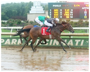 Hey Adrian - Horse Profile - BloodHorse