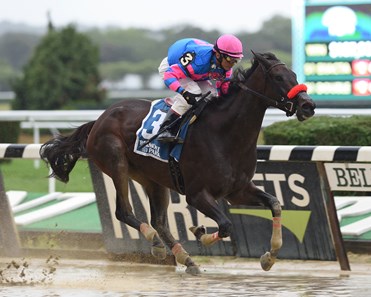 Come Dancing - Horse Profile - BloodHorse