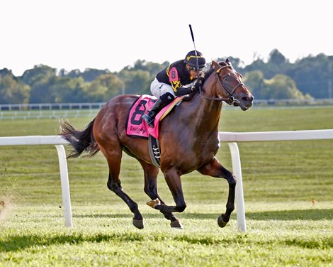 Ward's Bound for Nowhere Regroups in San Simeon - BloodHorse