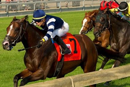 Oscar Performance - Horse Profile - BloodHorse