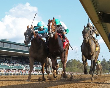 Promises Fulfilled - Horse Profile - BloodHorse